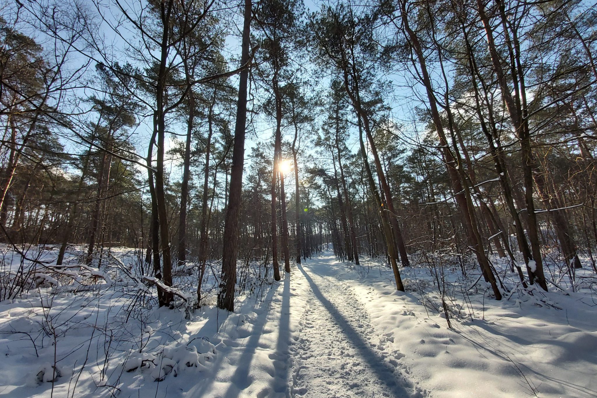 5x: rustige wandelingen tijdens corona - Wereldwijd Wandelen