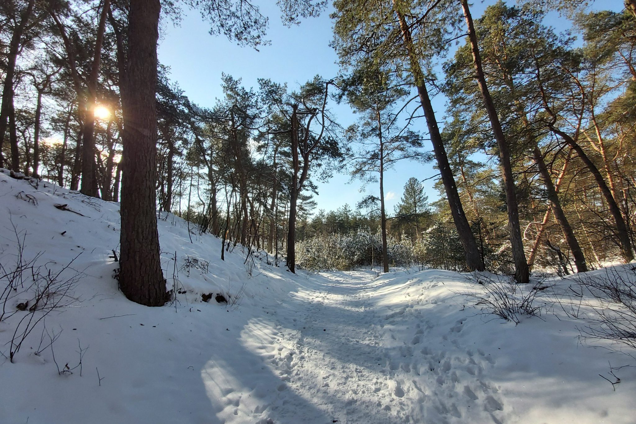 Wandeling Ronde Huis in Nunspeet, Veluwe - Wereldwijd Wandelen