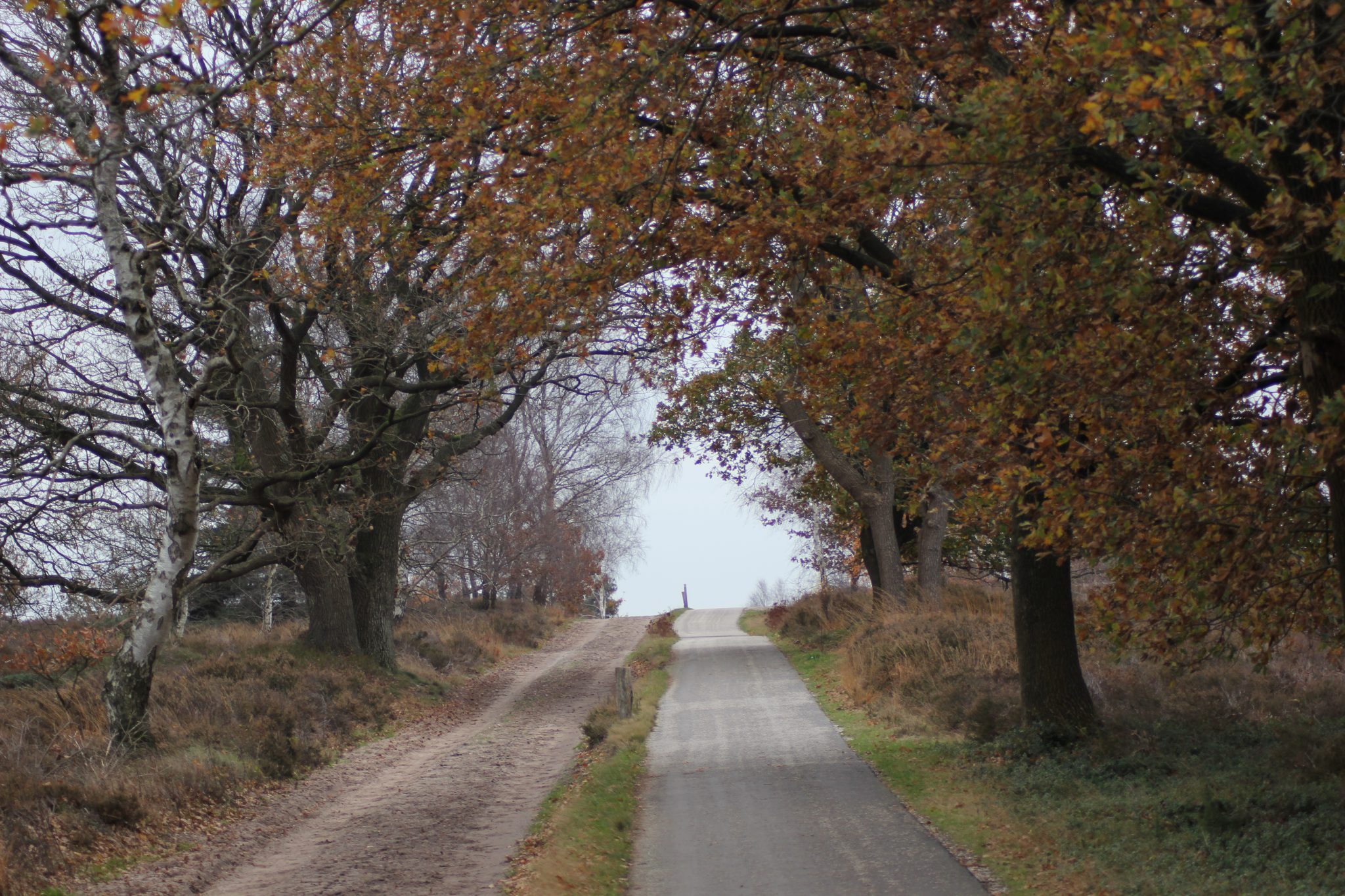 5x: rustige wandelingen tijdens corona - Wereldwijd Wandelen