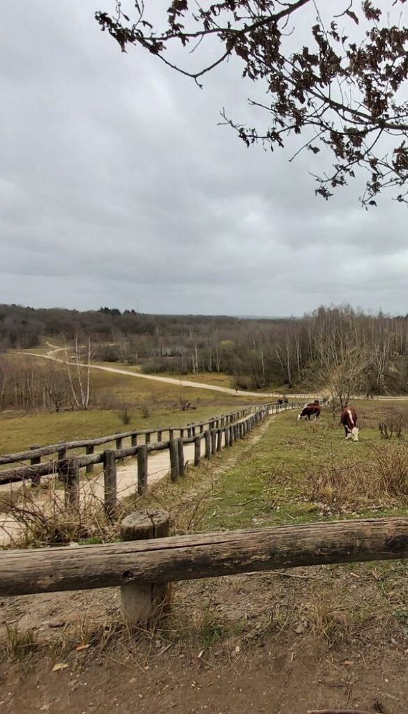 Wandeling Kwintelooijen in Rhenen, Utrechtse Heuvelrug - Wereldwijd ...