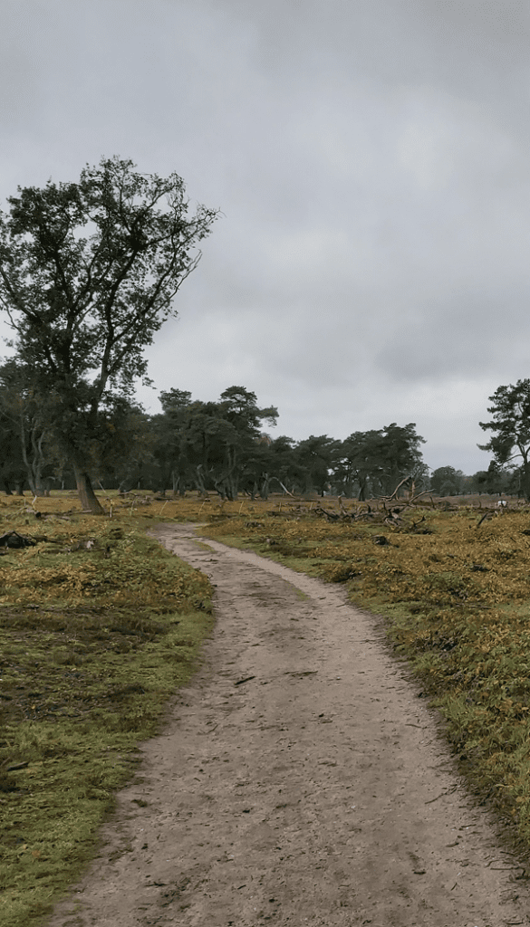 Wandeling Kwintelooijen in Rhenen, Utrechtse Heuvelrug - Wereldwijd ...