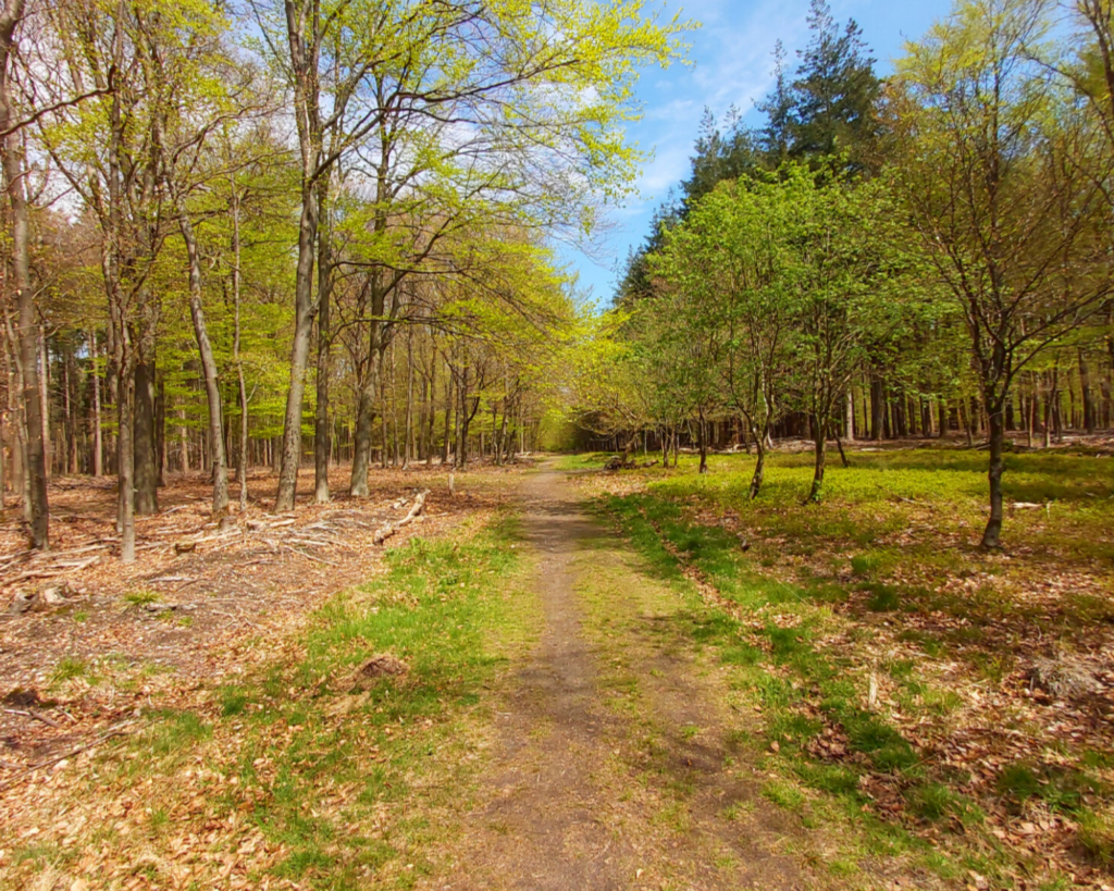 De mooiste wandelingen en wandelroutes in maart | Wereldwijd Wandelen