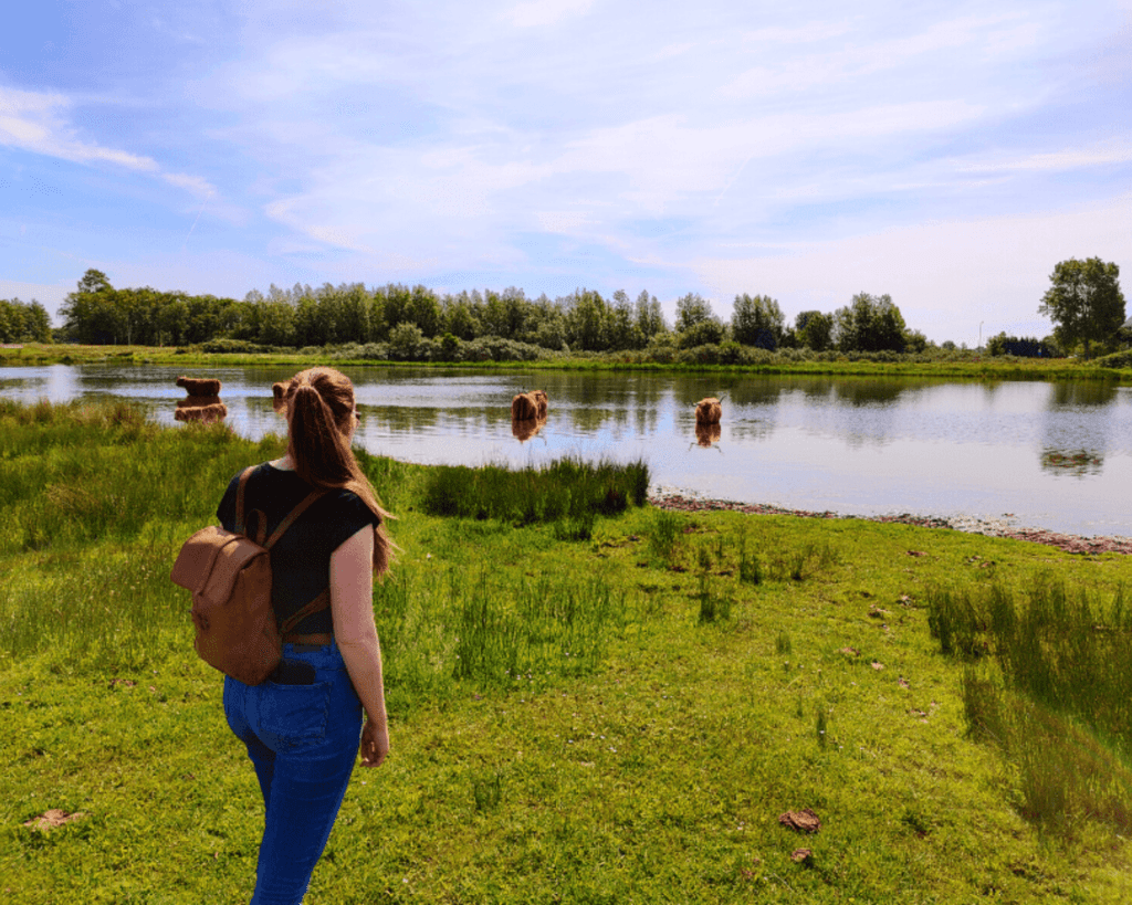 De mooiste wandelingen en wandelroutes in 2023